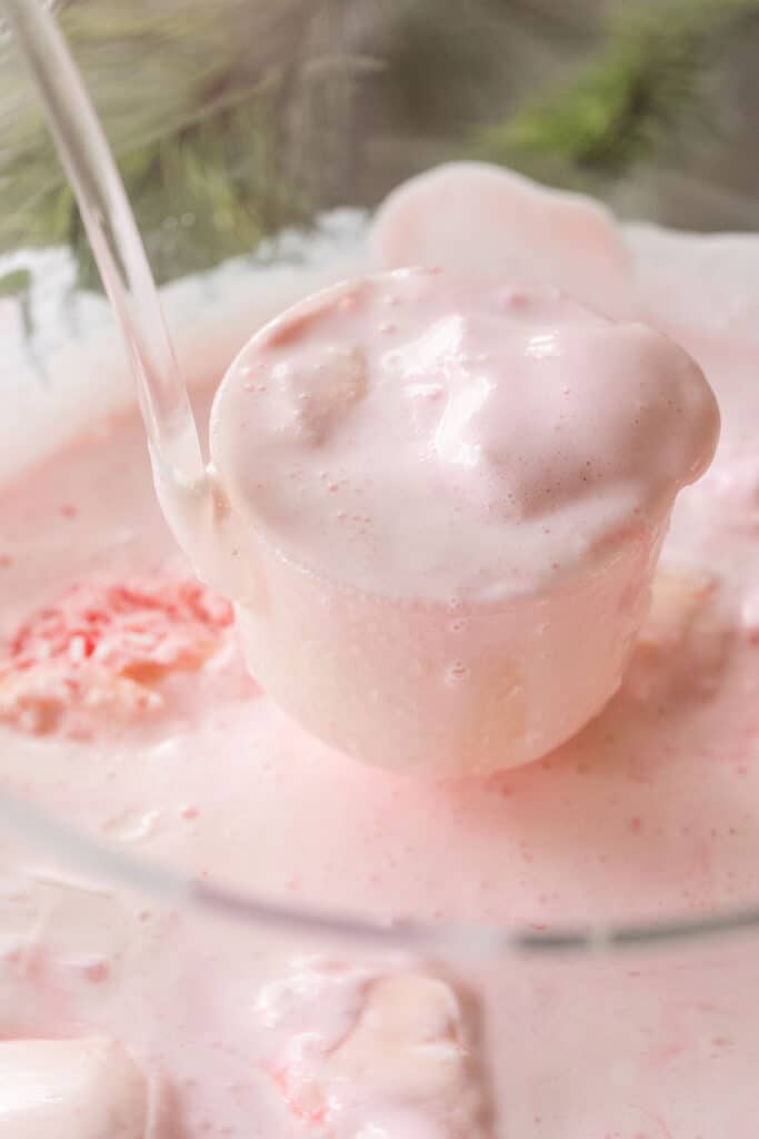Candy Cane Punch - Sugar and Charm