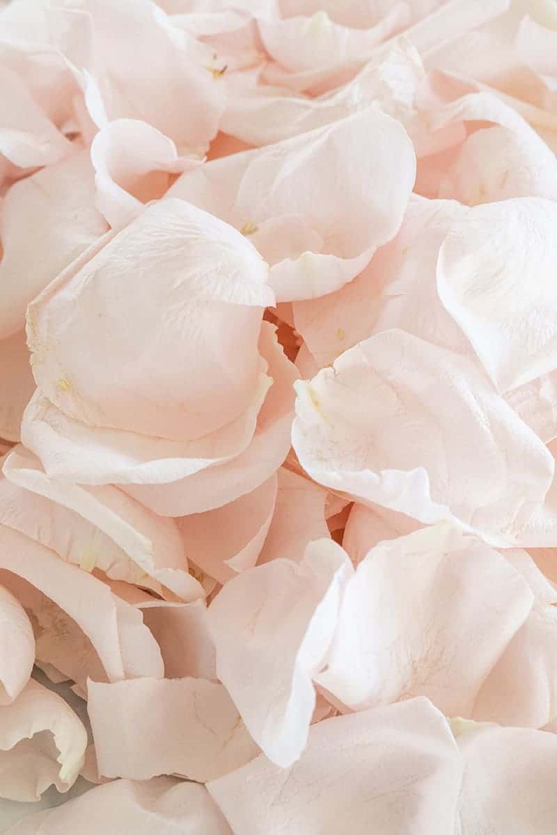 How to Make Rose Water At Home! - Sugar and Charm