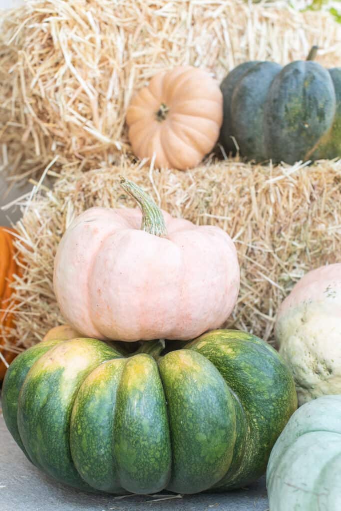 Fall Porch Ideas - Sugar and Charm