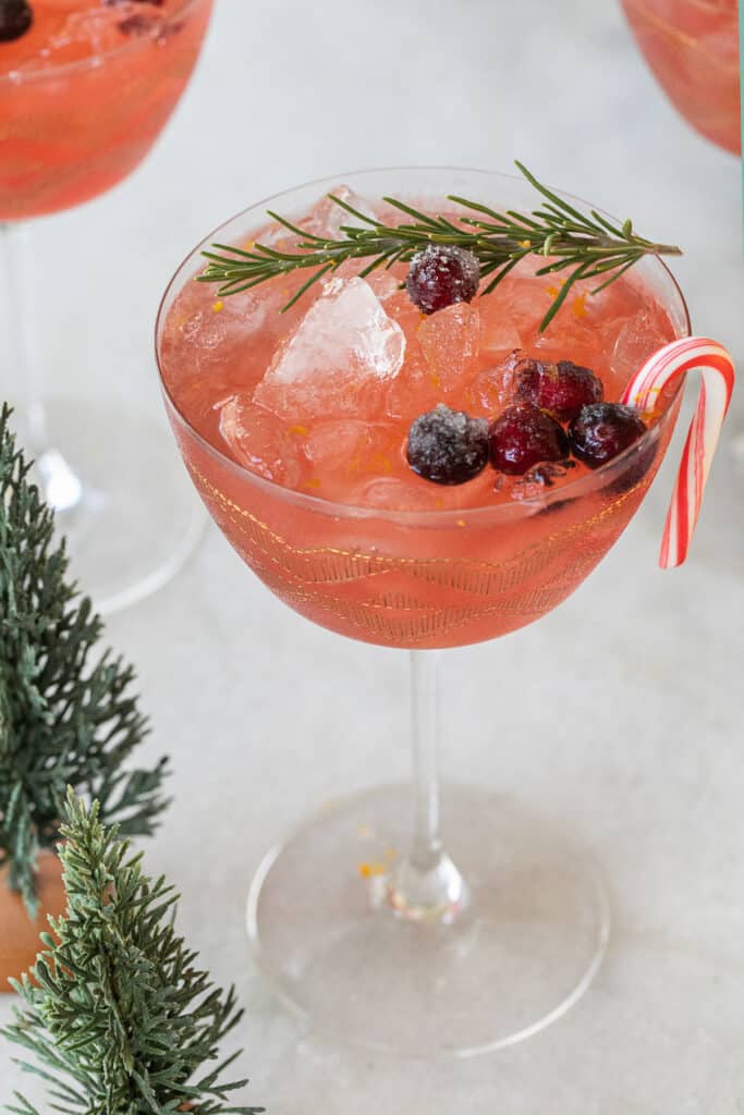 Christmas Martini Recipe - Sugar and Charm